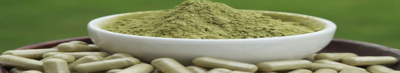 Organic Neem Capsules Manufacturer Wholesale Bulk Supplier