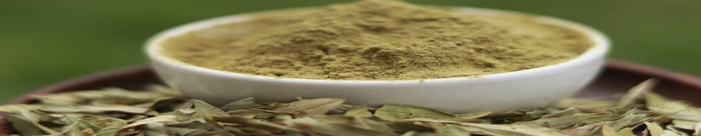 Organic Senna Leaf Powder Manufacturer Wholesale Bulk Supplier