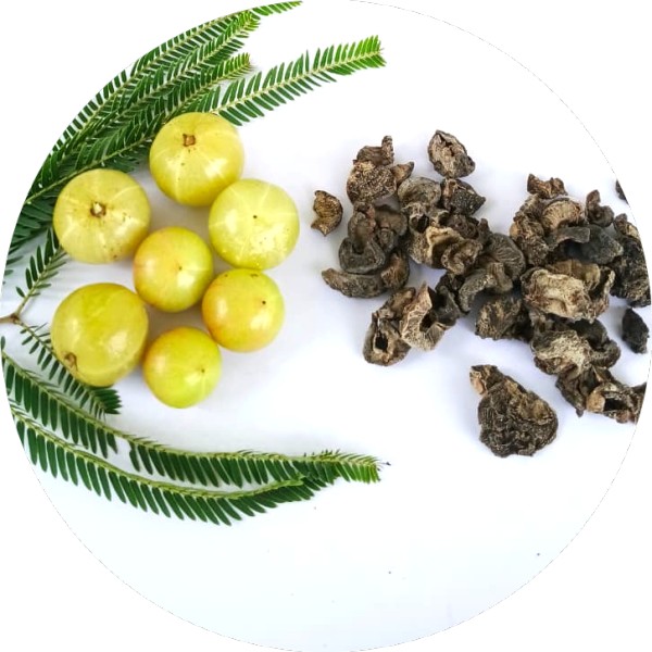 Organic Dried Amla Manufacturer Wholesale Bulk Supplier Exporter